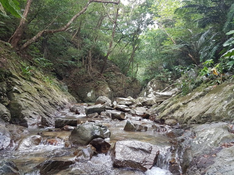 A Fun Day in Nago: River Trekking at Ta-Taki Falls, Best Dinner in ...