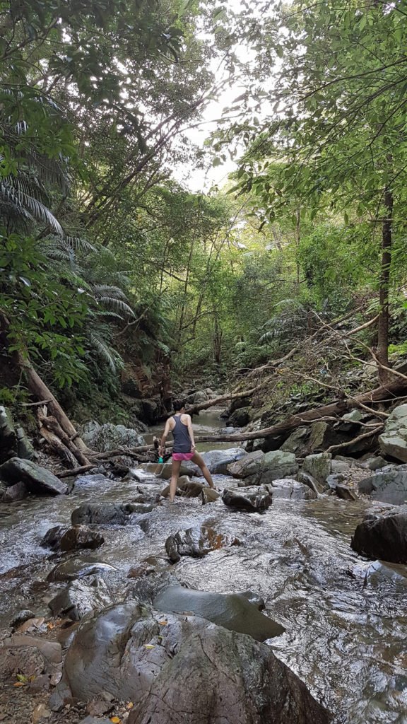 A Fun Day in Nago: River Trekking at Ta-Taki Falls, Best Dinner in ...