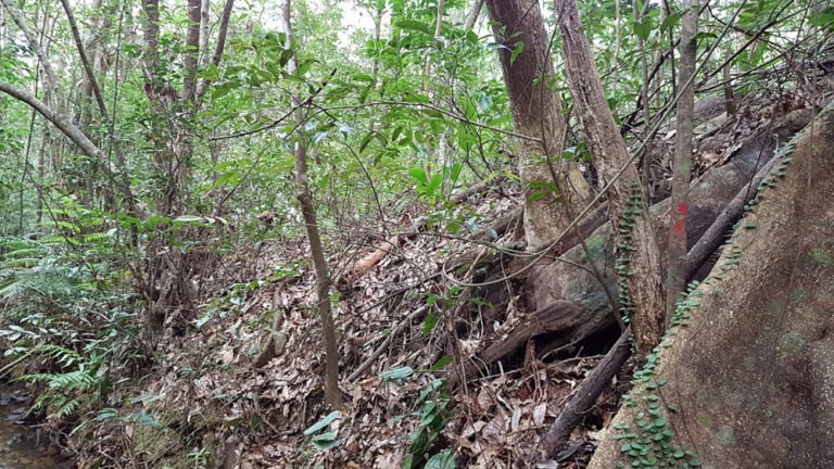A Challenging Hike to Hira Falls - Our "Private" Waterfall in Okinawa ...