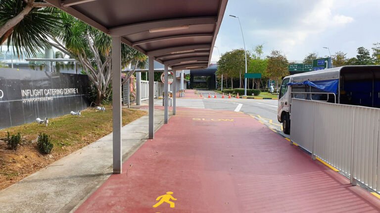 Changi Jurassic Mile is where you see life-sized dinosaurs in Singapore ...