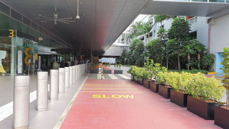 Changi Jurassic Mile is where you see life-sized dinosaurs in Singapore ...