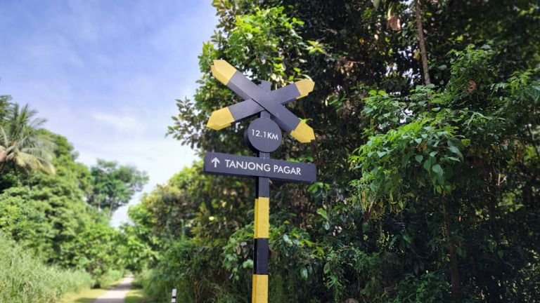 Guide to hiking Rail Corridor in Singapore (Includes Route map & tips ...
