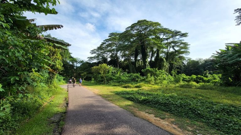 Guide to hiking Rail Corridor in Singapore (Includes Route map & tips ...