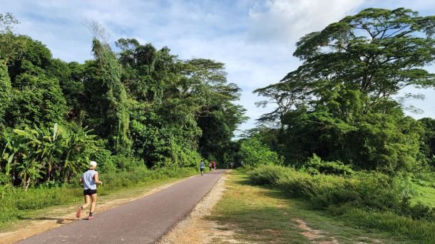 Guide to hiking Rail Corridor in Singapore (Includes Route map & tips ...