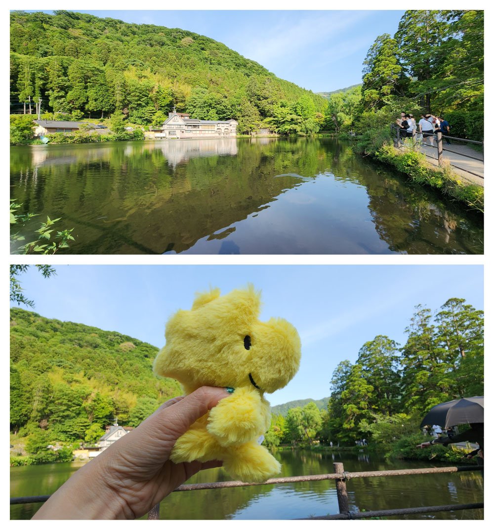 One loop from Fukuoka: What we did in Yufuin & Beppu (Part 3 of Kyushu ...