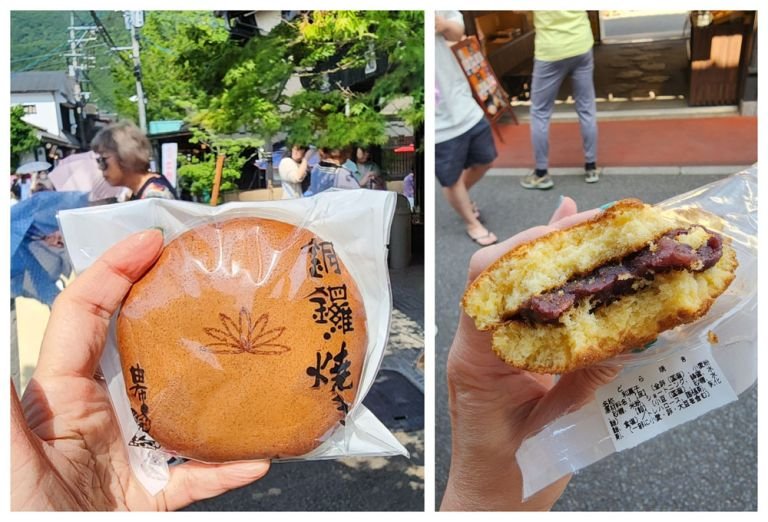 One loop from Fukuoka: What we did in Yufuin & Beppu (Part 3 of Kyushu ...