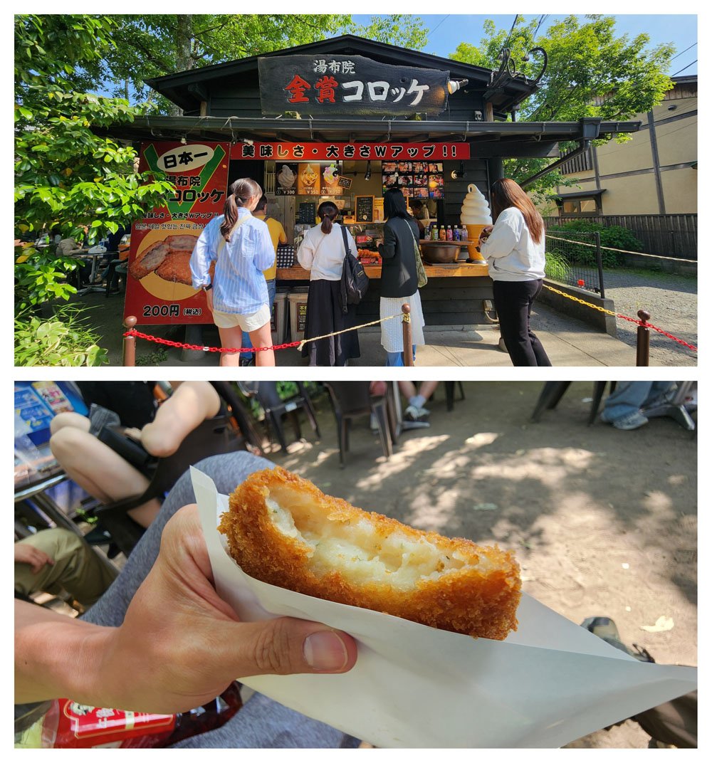 One loop from Fukuoka: What we did in Yufuin & Beppu (Part 3 of Kyushu ...